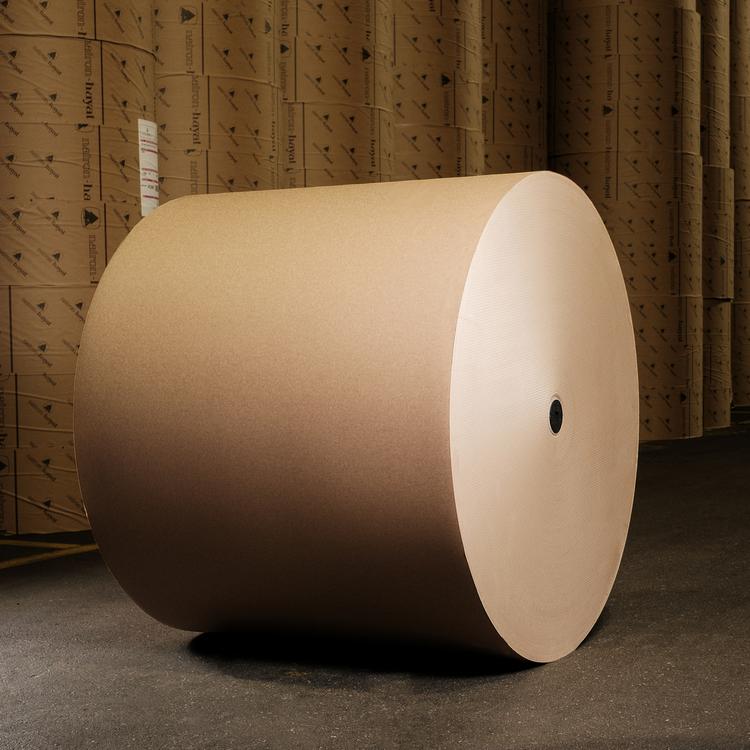 Proizvod | Natron-Hayat Web