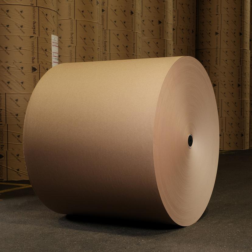 Proizvod | Natron-Hayat Web