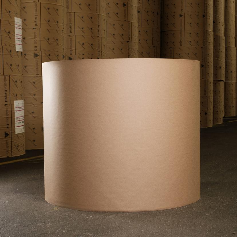 Proizvod | Natron-Hayat Web